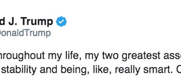 President Trump Tells Twitter That He’s A Very Stable Genius – Chicks ...