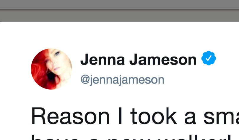 Jenna Jameson Explains Why She Had To Take A Break From Twitter ...