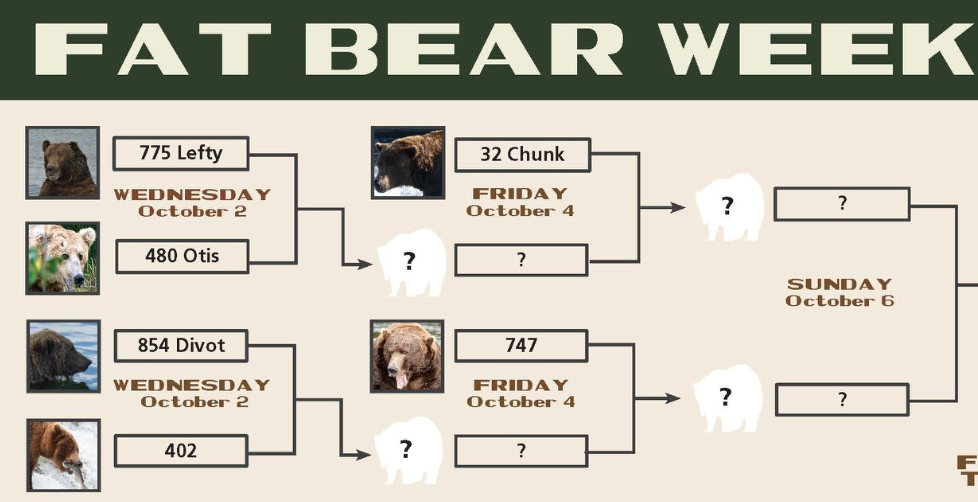 DROP EVERYTHING: The Fattest Bear Bracket is Live and You'd Better Vote ...