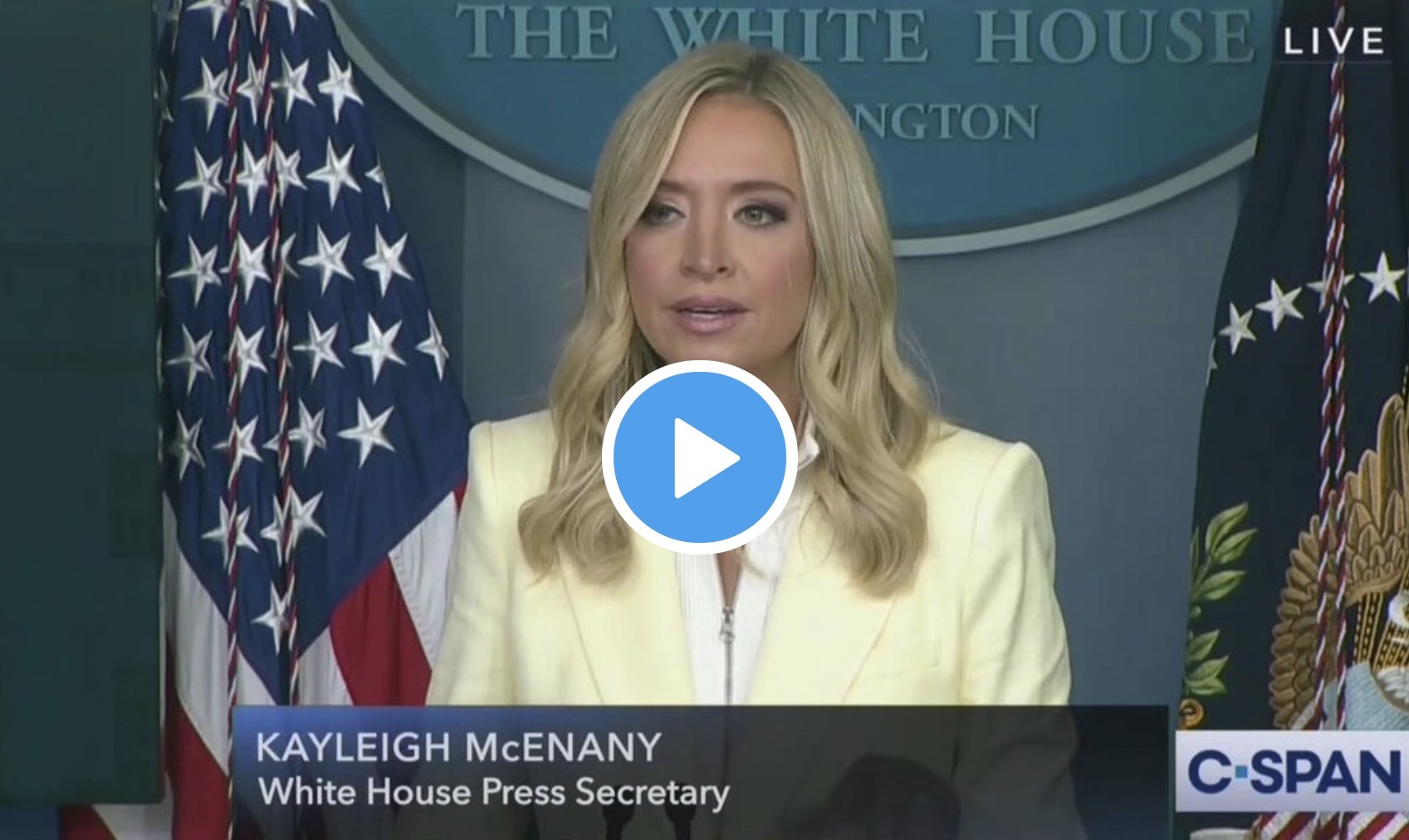 Kayleigh McEnany Brings Slides To Destroy Journalists About Michael ...
