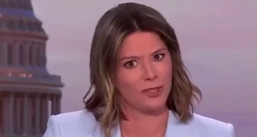 CNN Anchor Cuts Mic of Trump Staffer As Interview Spirals – Chicks On ...