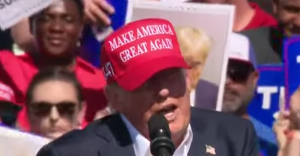 Trump Tops Harris in 13 National Surveys – Chicks On The Right