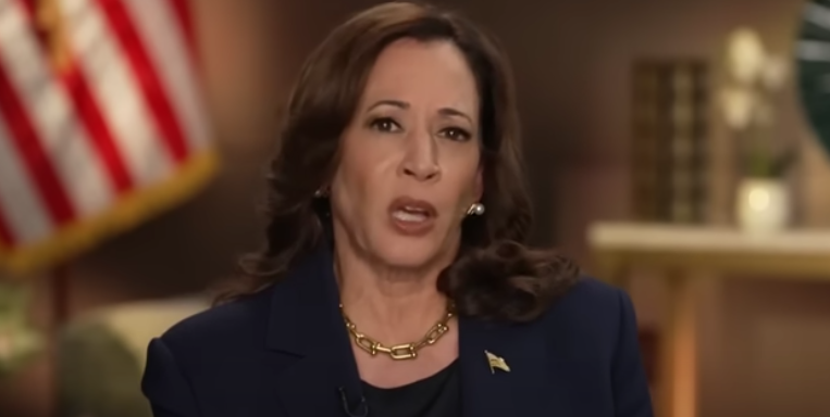 Kamala Harris Ruthlessly Fact-Checked After Posting Lie – Chicks On The ...