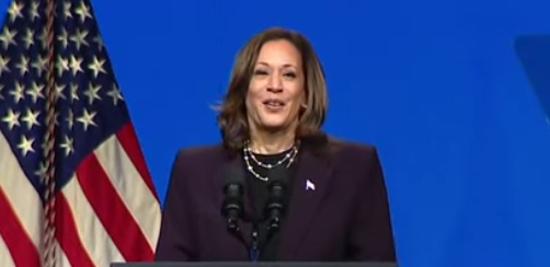 Legal Group Launches Multiple Investigations Into Kamala Harris’ Record ...