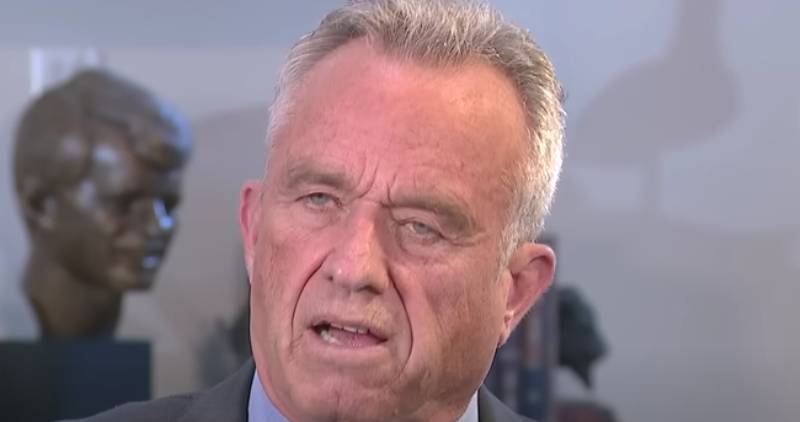 RFK Jr. Admits to Disposing of Dead Bear Cub in Central Park – Chicks ...