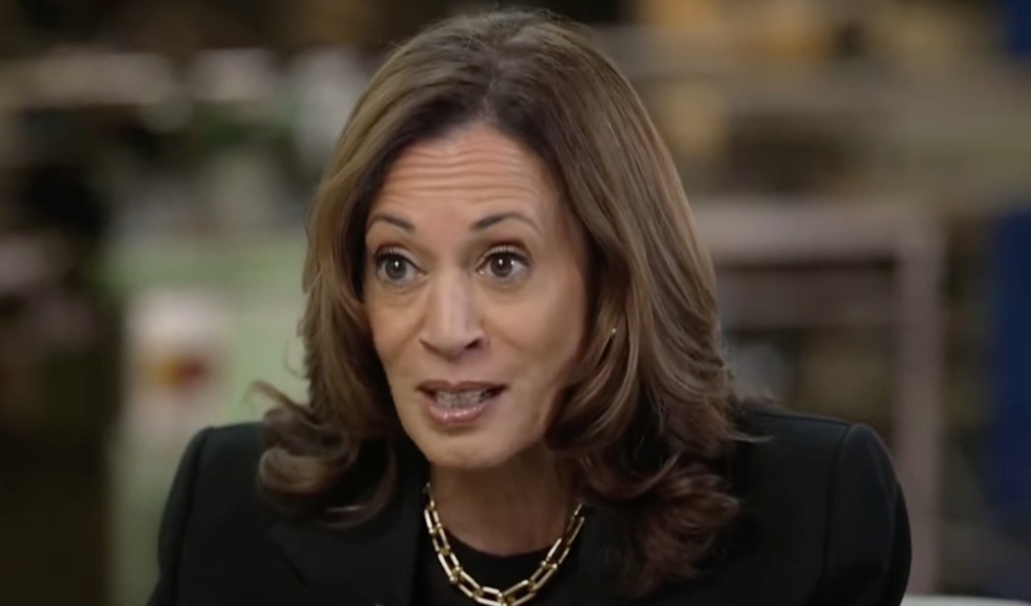 Kamala Harris Blasted Online for Staged Interview Background – Chicks ...