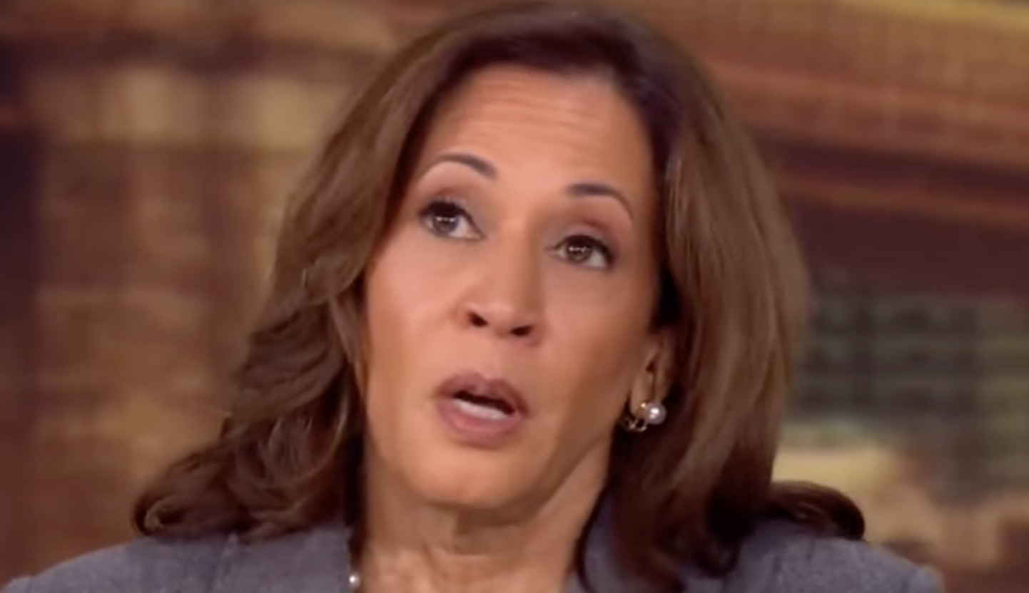 Kamala Harris Open to Taxpayer-Funded Racial Reparations – Chicks On ...