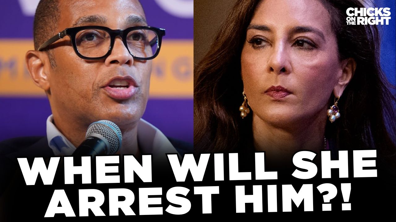 The DOJ Gets SERIOUS! Harmeet Dhillon explains future arrests – Chicks ...